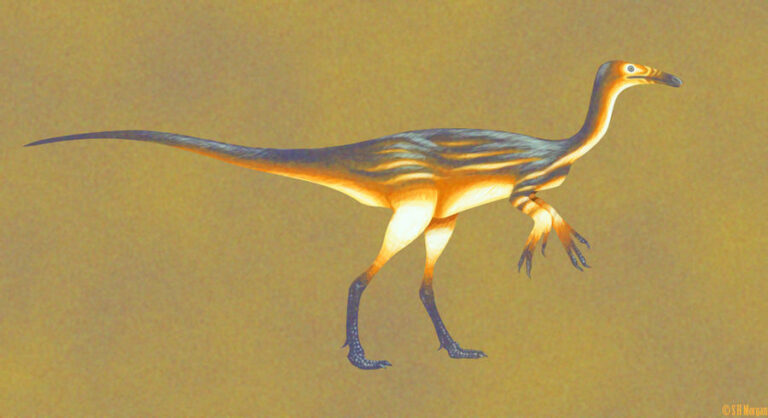 Shenzhousaurus 🦤 Вимерлий світ