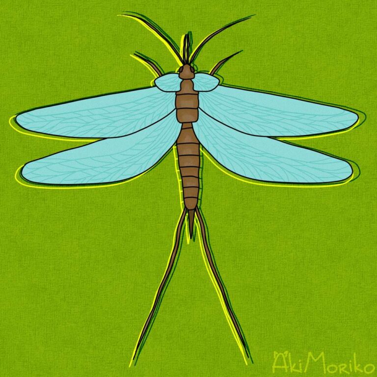 Mazothairos 🦤 Вимерлий світ