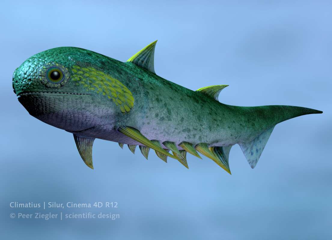 Climatius 🦤 Вимерлий світ