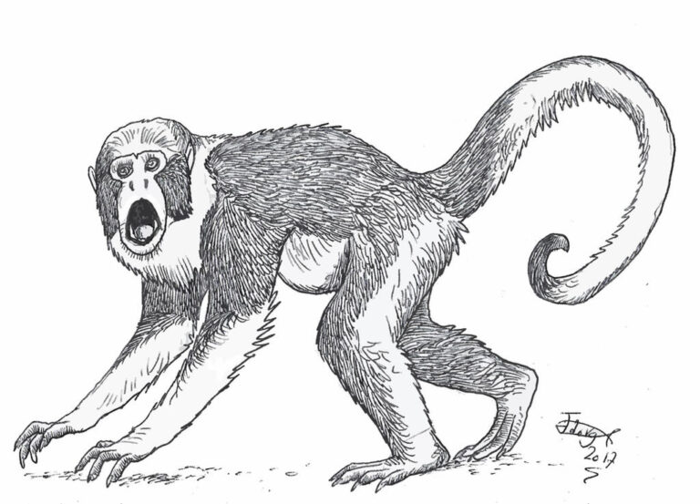 Protopithecus — великі мавпи з Бразилії 🦤 Вимерлий світ