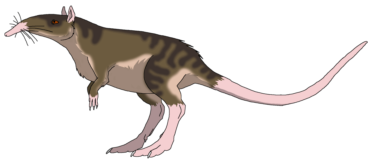 Leptictidium 🦤 Вимерлий світ