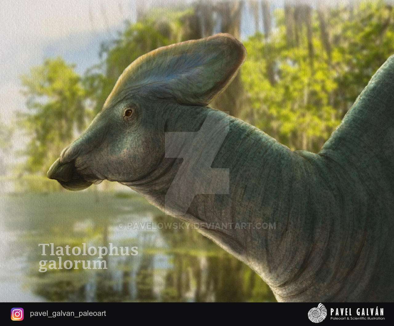 Tlatolophus 🦤 Вимерлий світ