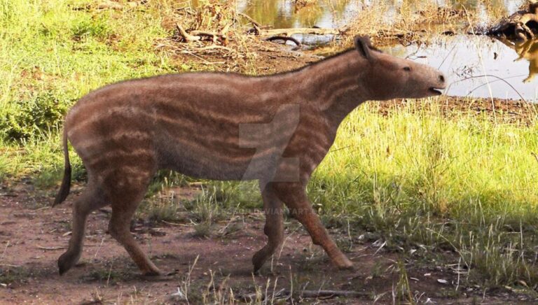 Hyrachyus 🦤 Вимерлий світ