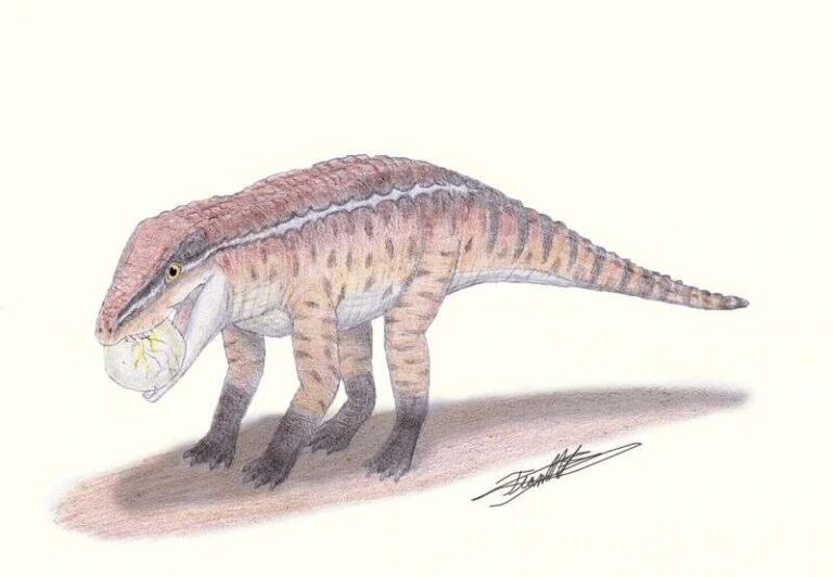 Ogresuchus 🦤 Вимерлий світ