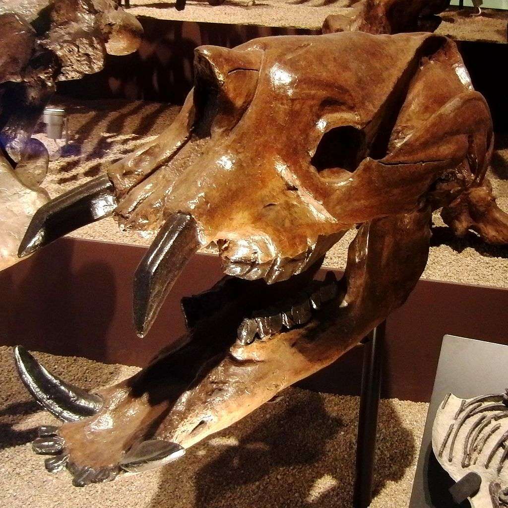 Astrapotherium 🦤 Вимерлий світ