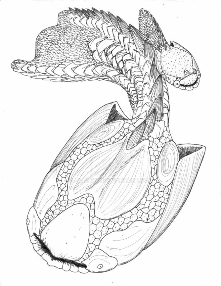 Drepanaspis 🦤 Вимерлий світ