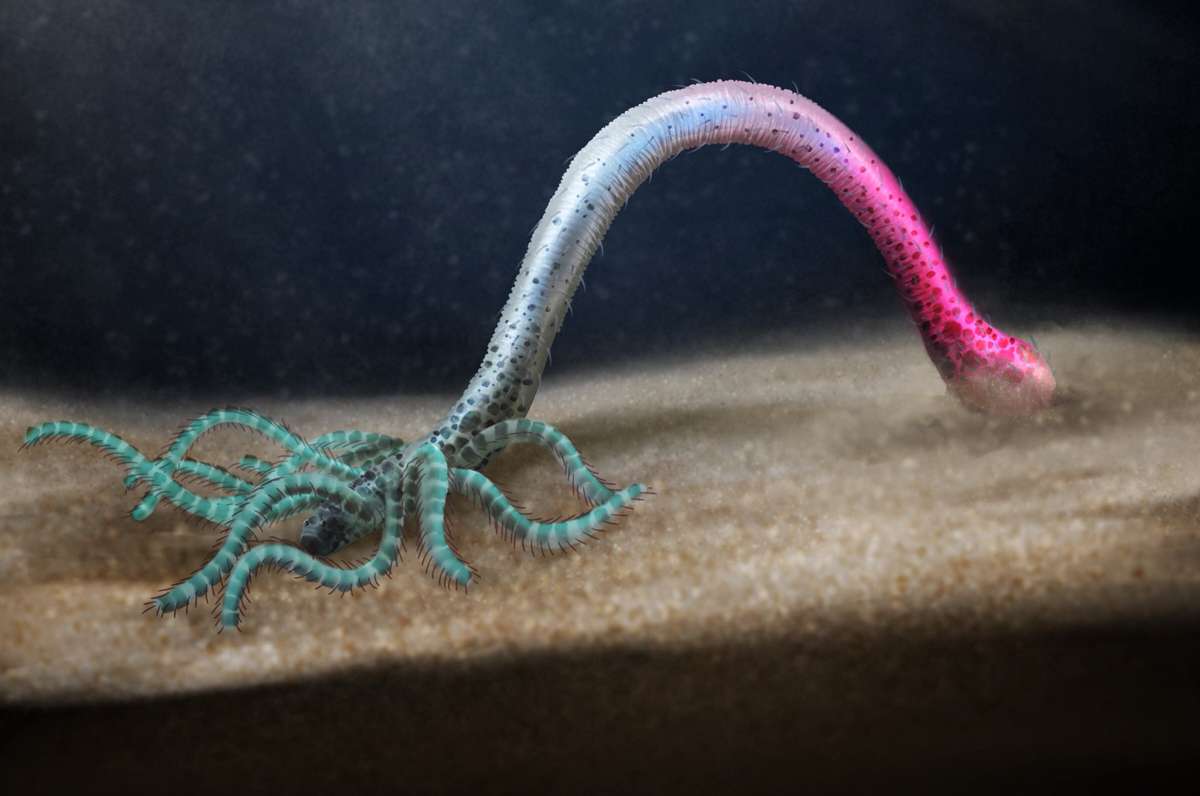 Facivermis 🦤 Вимерлий світ