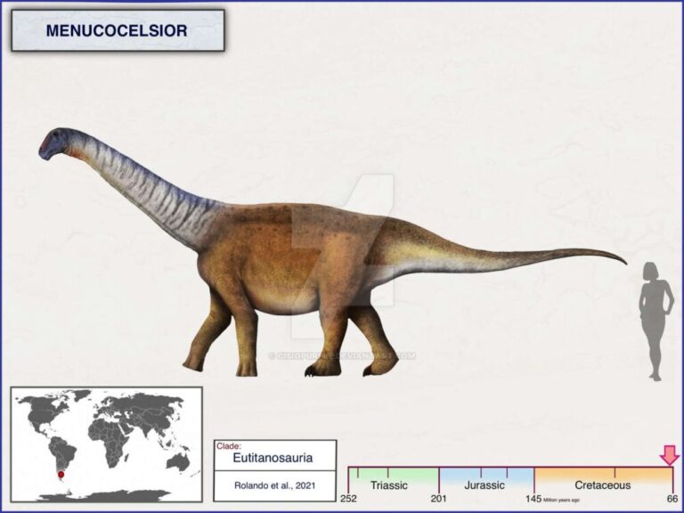 Menucocelsior 🦤 Вимерлий світ