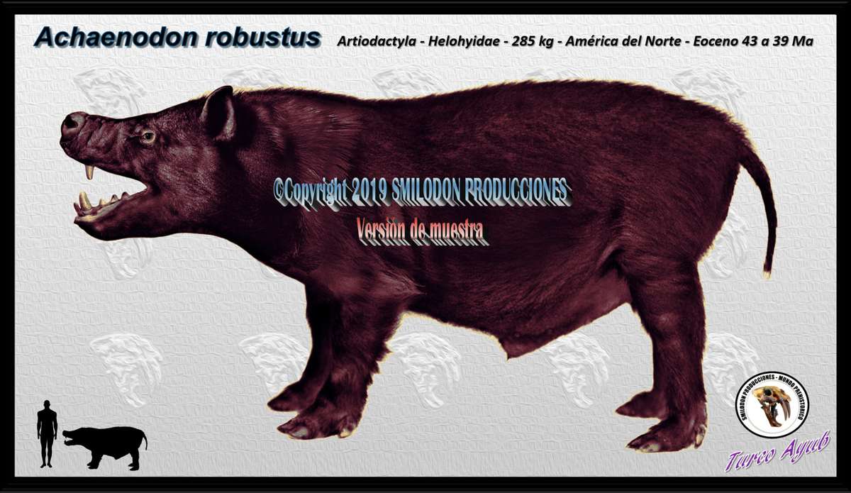 Achaenodon 🦤 Вимерлий світ