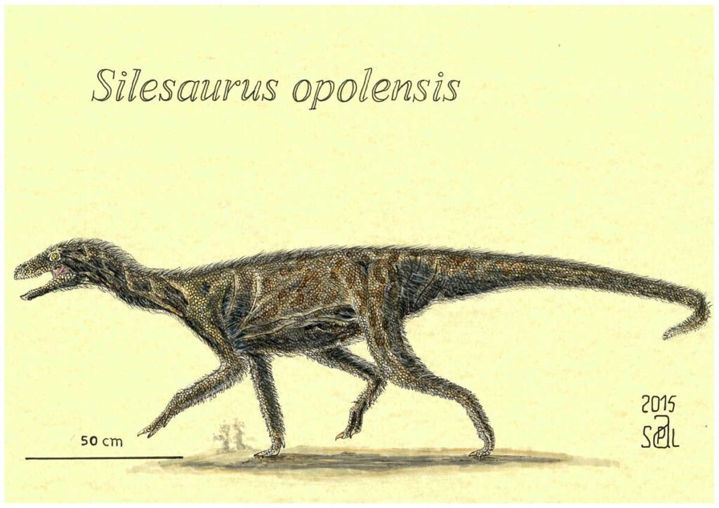 Silesaurus — архозавр з тріасу Європи 🦤 Вимерлий світ