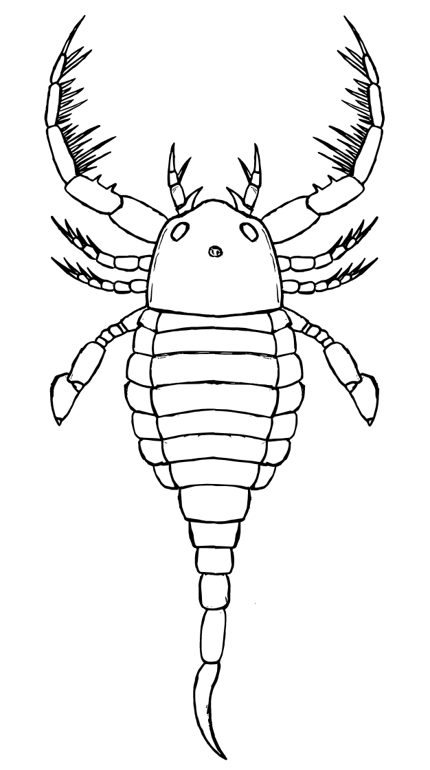 Terropterus - евриптерид з силуру Китаю 🦤 Вимерлий світ