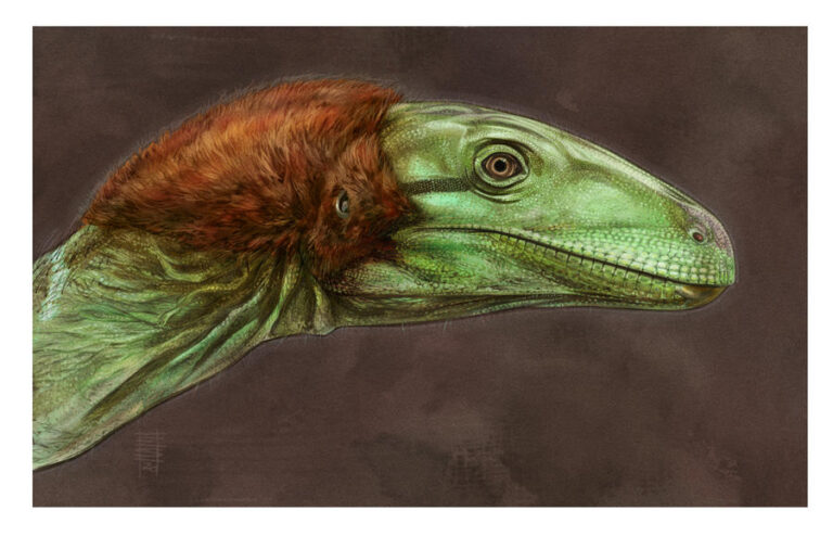 Silesaurus — архозавр з тріасу Європи 🦤 Вимерлий світ