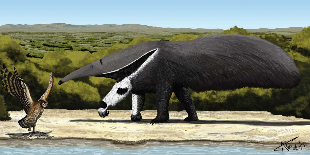 Oraristrix 🦤 Вимерлий світ