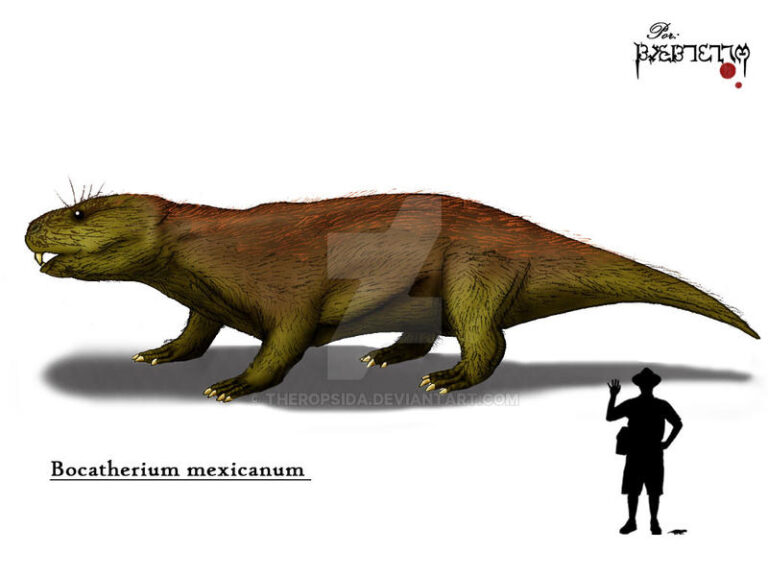 Bocatherium 🦤 Вимерлий світ