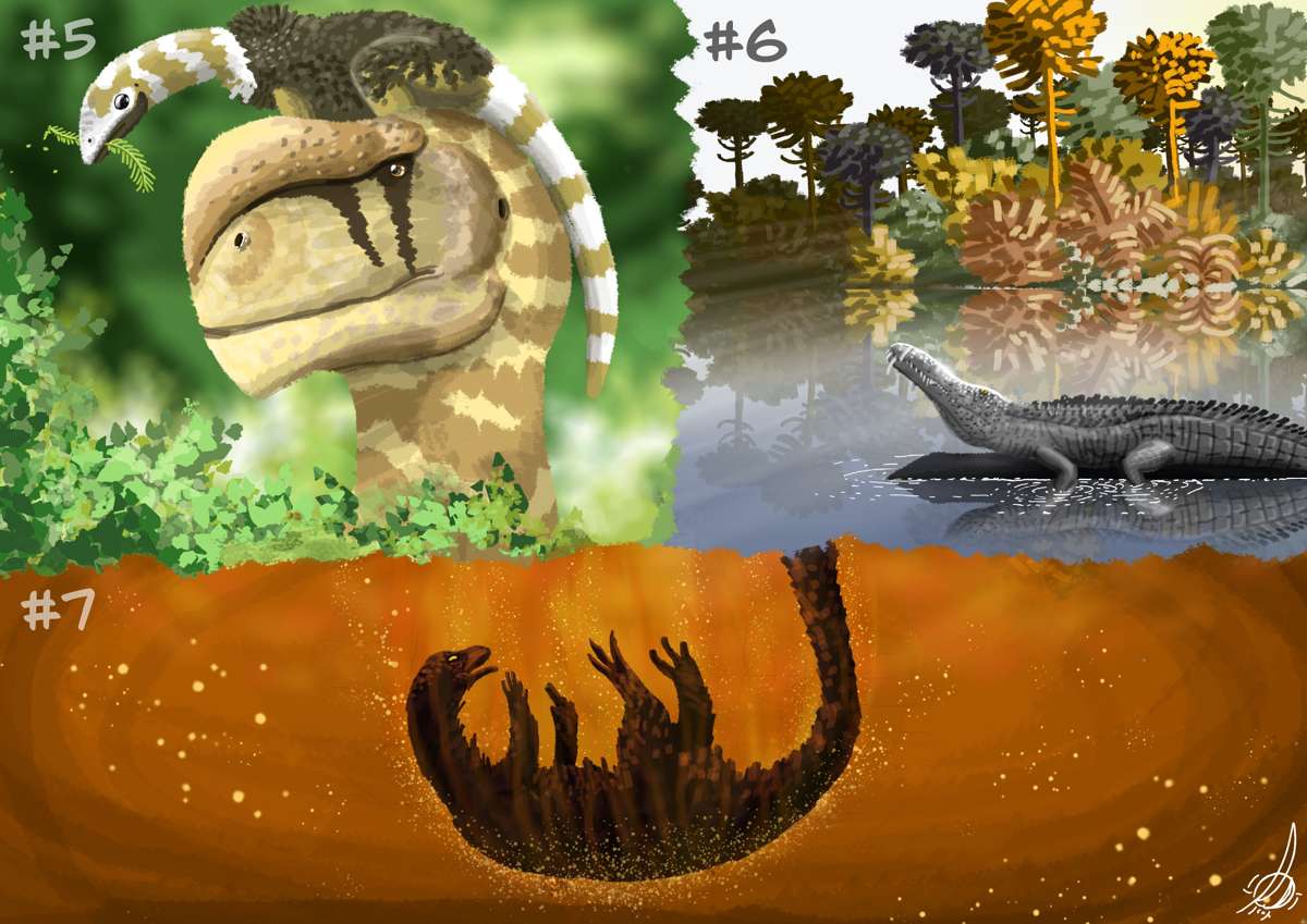 Smilosuchus 🦤 Вимерлий світ