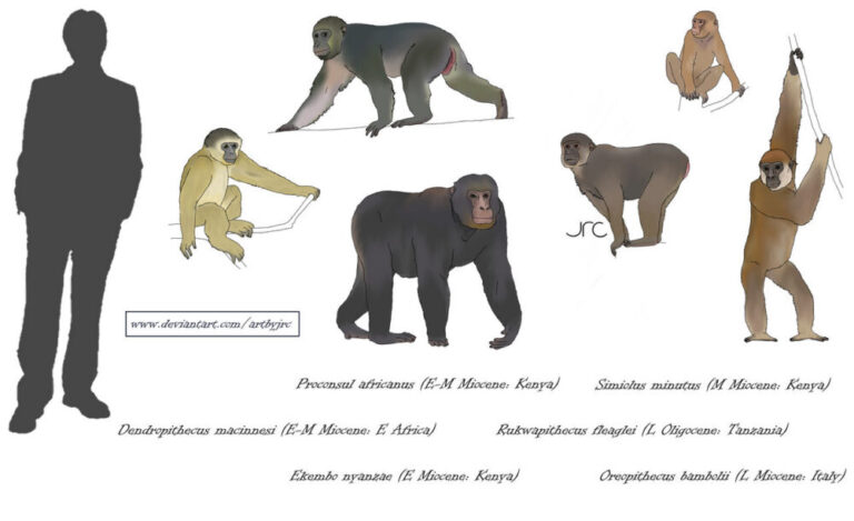 Simiolus 🦤 Вимерлий світ