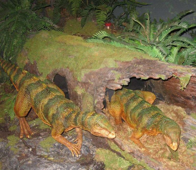 Qantassaurus 🦤 Вимерлий світ