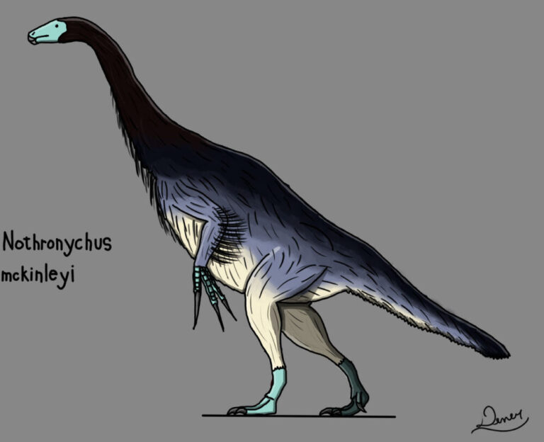 Nothronychus 🦤 Вимерлий світ