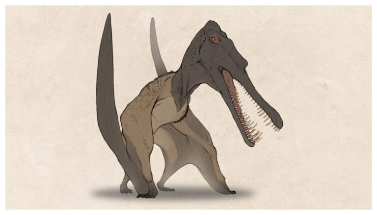 Zhenyuanopterus 🦤 Вимерлий світ