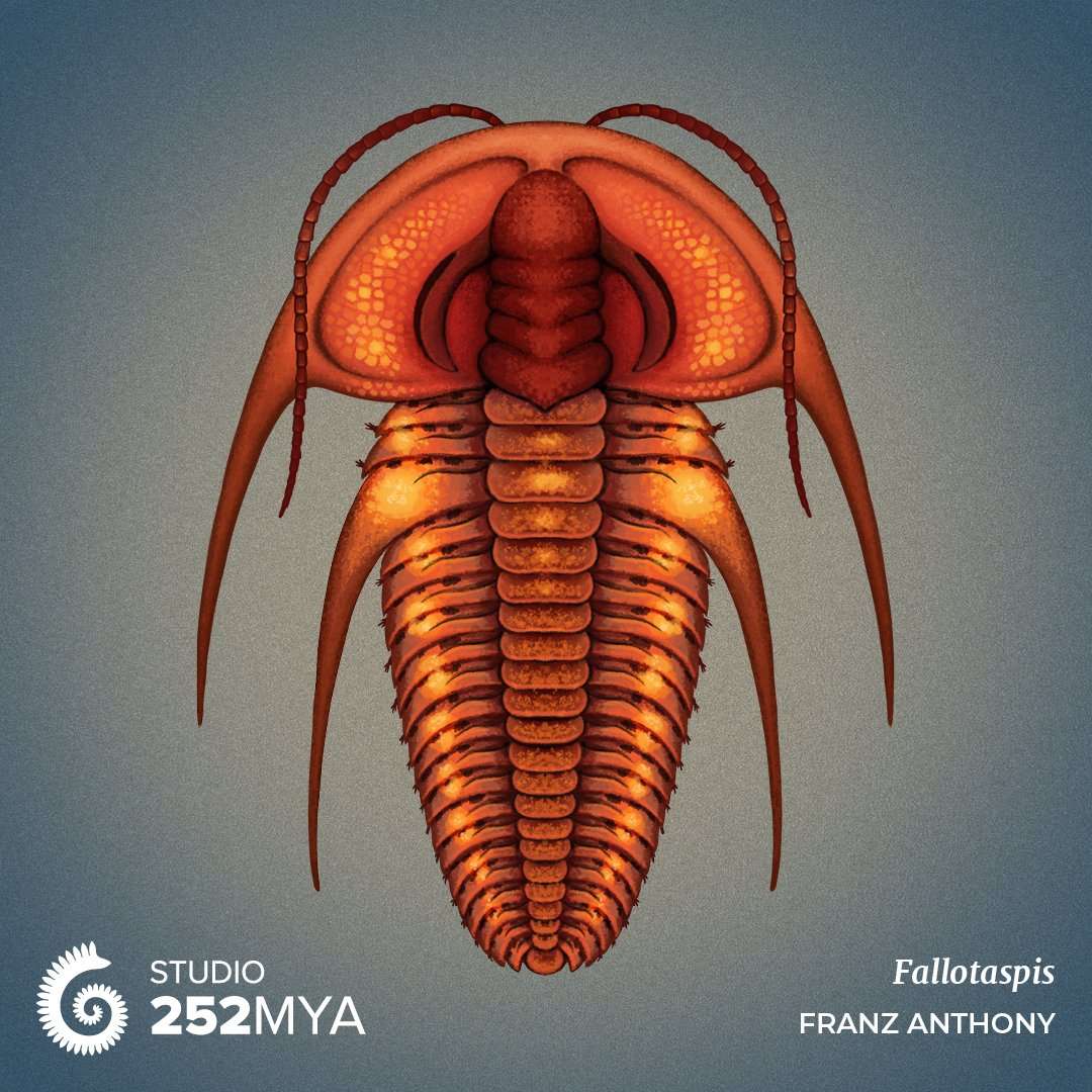 Fallotaspis 🦤 Вимерлий світ