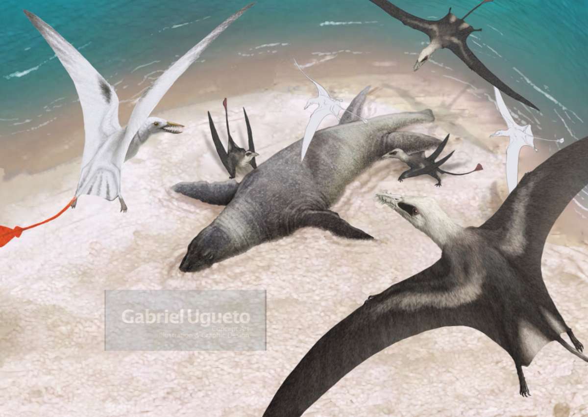 Gallardosaurus 🦤 Вимерлий світ