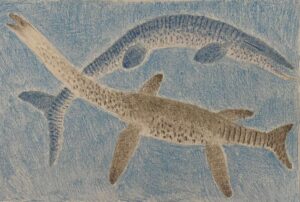 Tuarangisaurus 🦤 Вимерлий світ