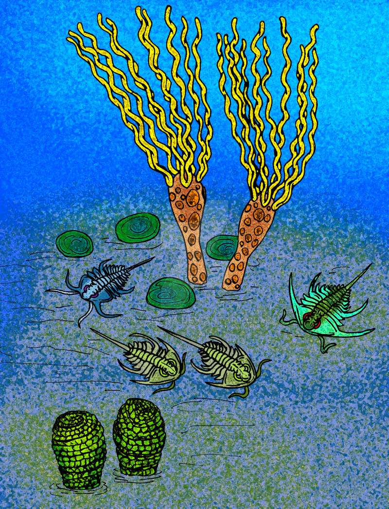 Gogia — рід еокріноїдних бластозоїв 🦤 Вимерлий світ