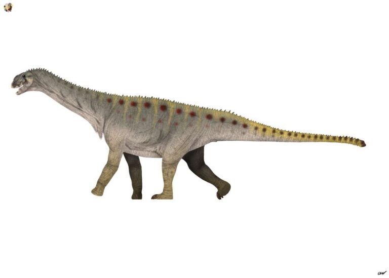 Shunosaurus — завропод з Китаю 🦤 Вимерлий світ