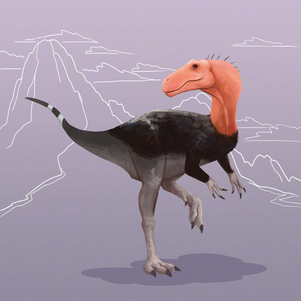 Erectopus 🦤 Вимерлий світ