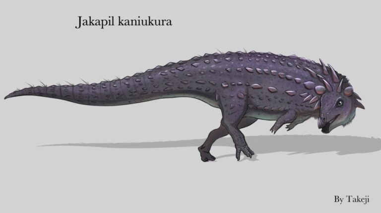 Jakapil — тиреофоровий динозавр з крейди 🦤 Вимерлий світ