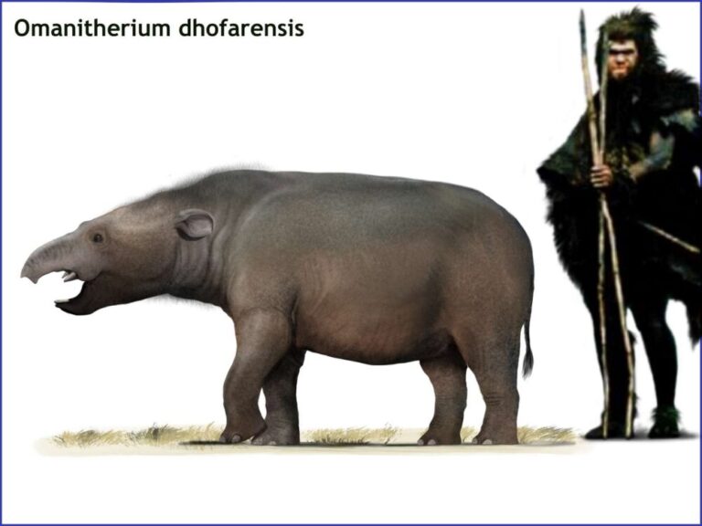 Omanitherium — хоботний з олігоцену Оману 🦤 Вимерлий світ