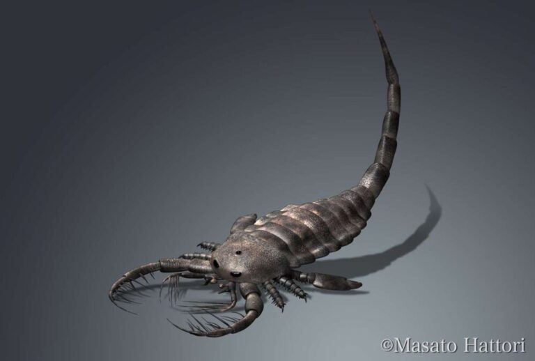 Mixopterus - великий ракоскорпіон з силуру 🦤 Вимерлий світ