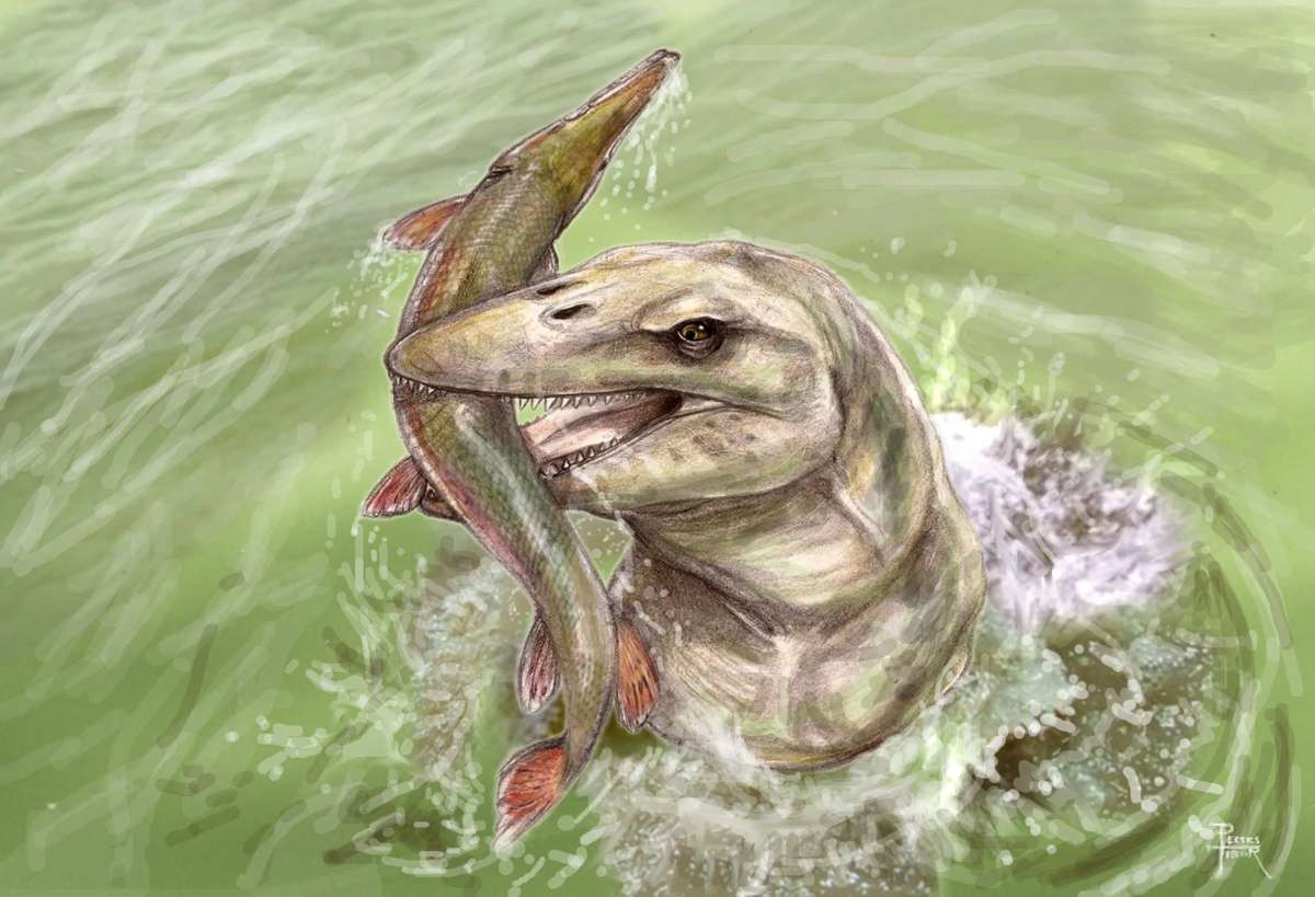 Pannoniasaurus - прісноводний мозазавр 🦤 Вимерлий світ