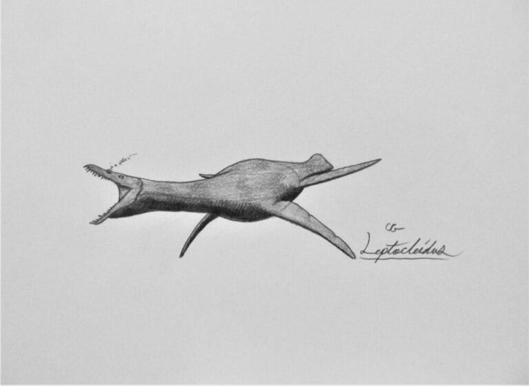 Leptocleidus — дрібний пліозавр з крейди » Вимерлий світ