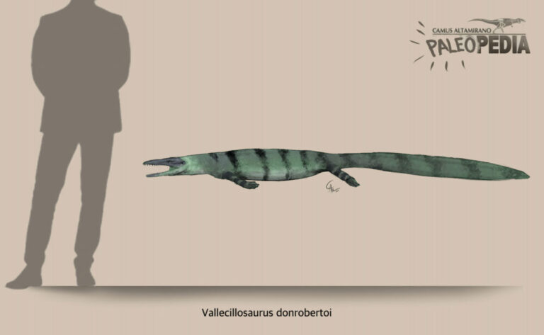 Vallecillosaurus — вимерлий мозазавр 🦤 Вимерлий світ