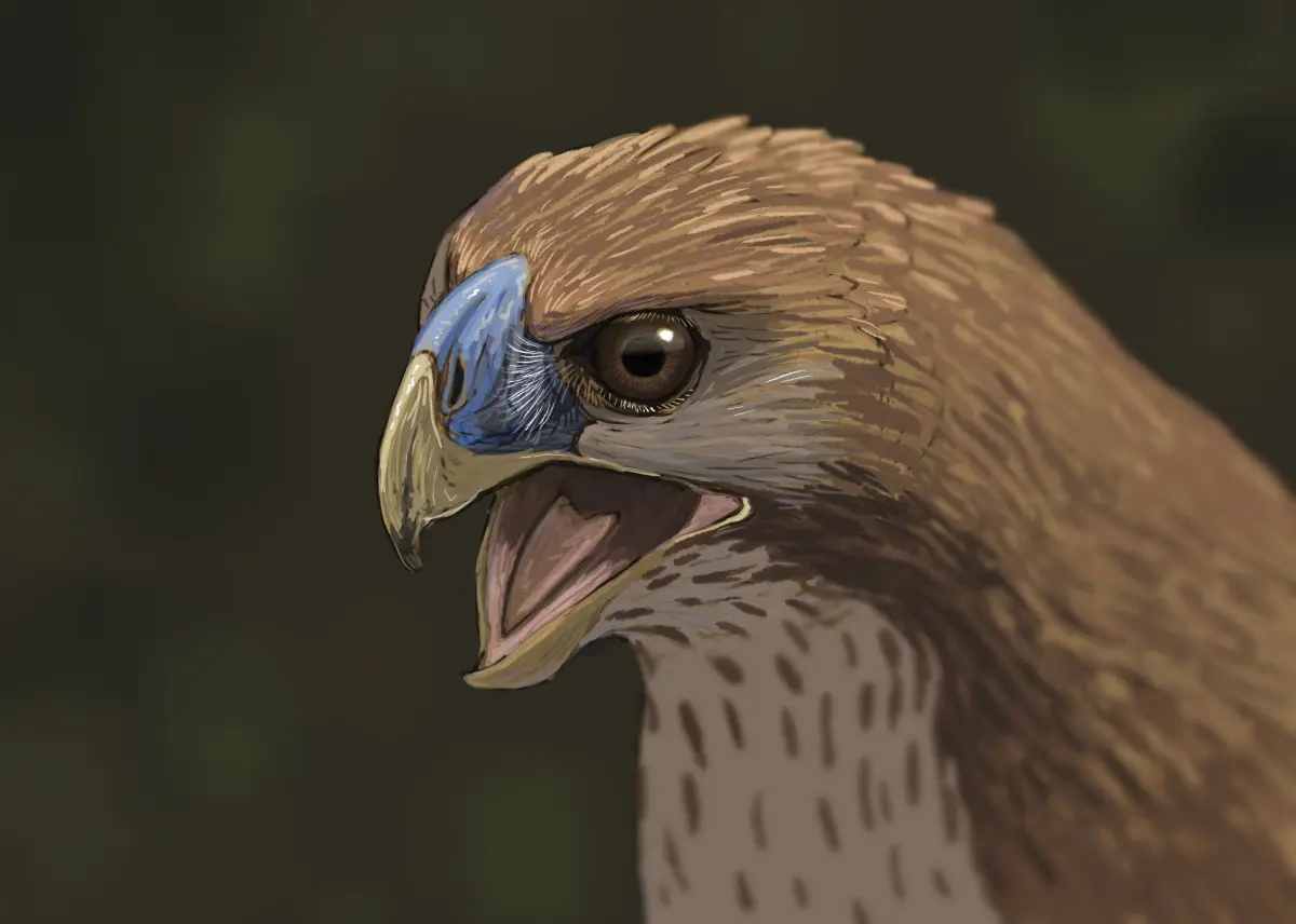 Messelastur — птах-загадка з еоцену Європи 🦤 Вимерлий світ