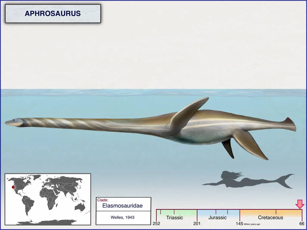 Aphrosaurus — рід плезіозаврів з маастрихту 🦤 Вимерлий світ