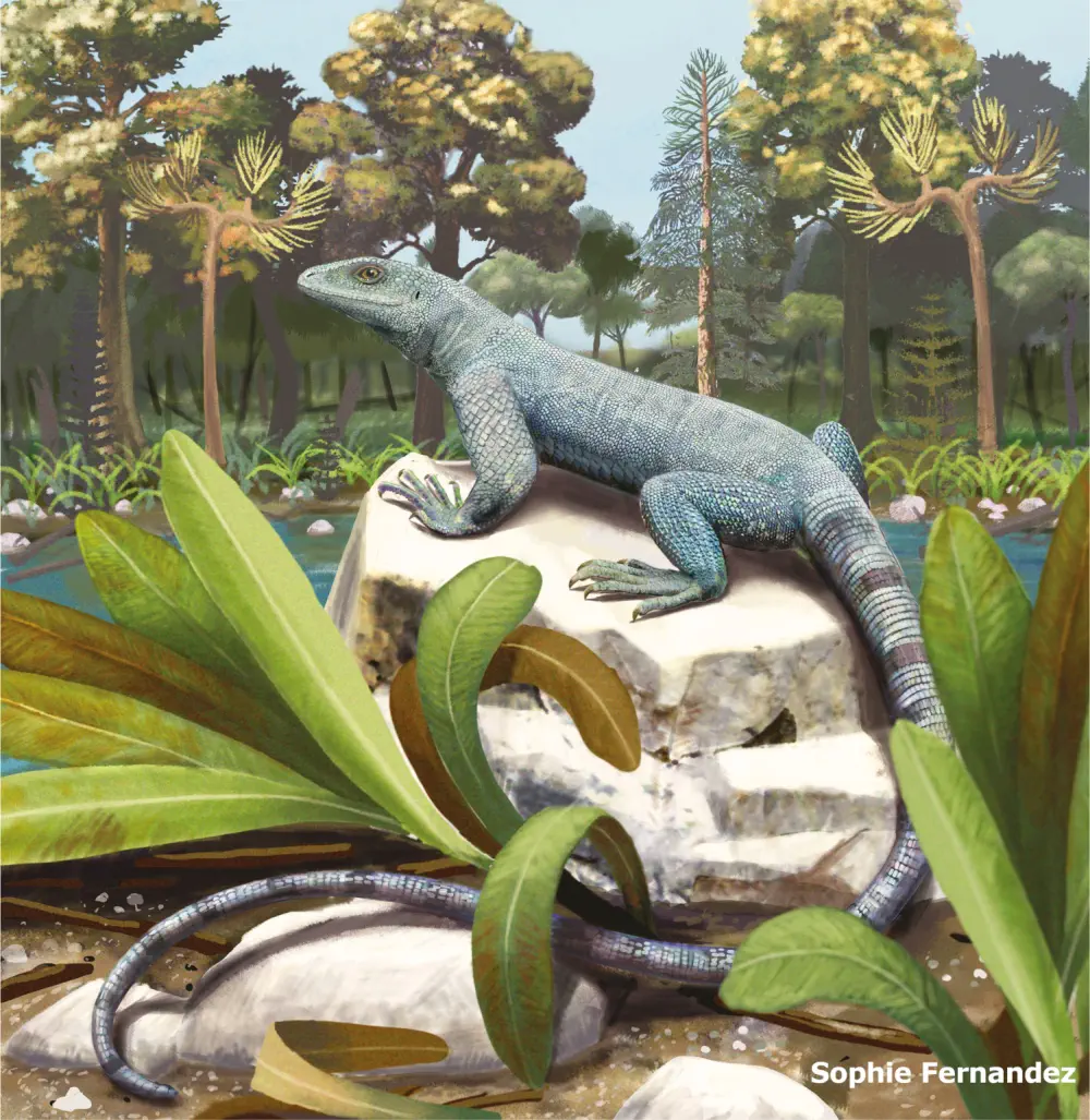 Thadeosaurus — рід діапсид з Мадагаскару 🦤 Вимерлий світ